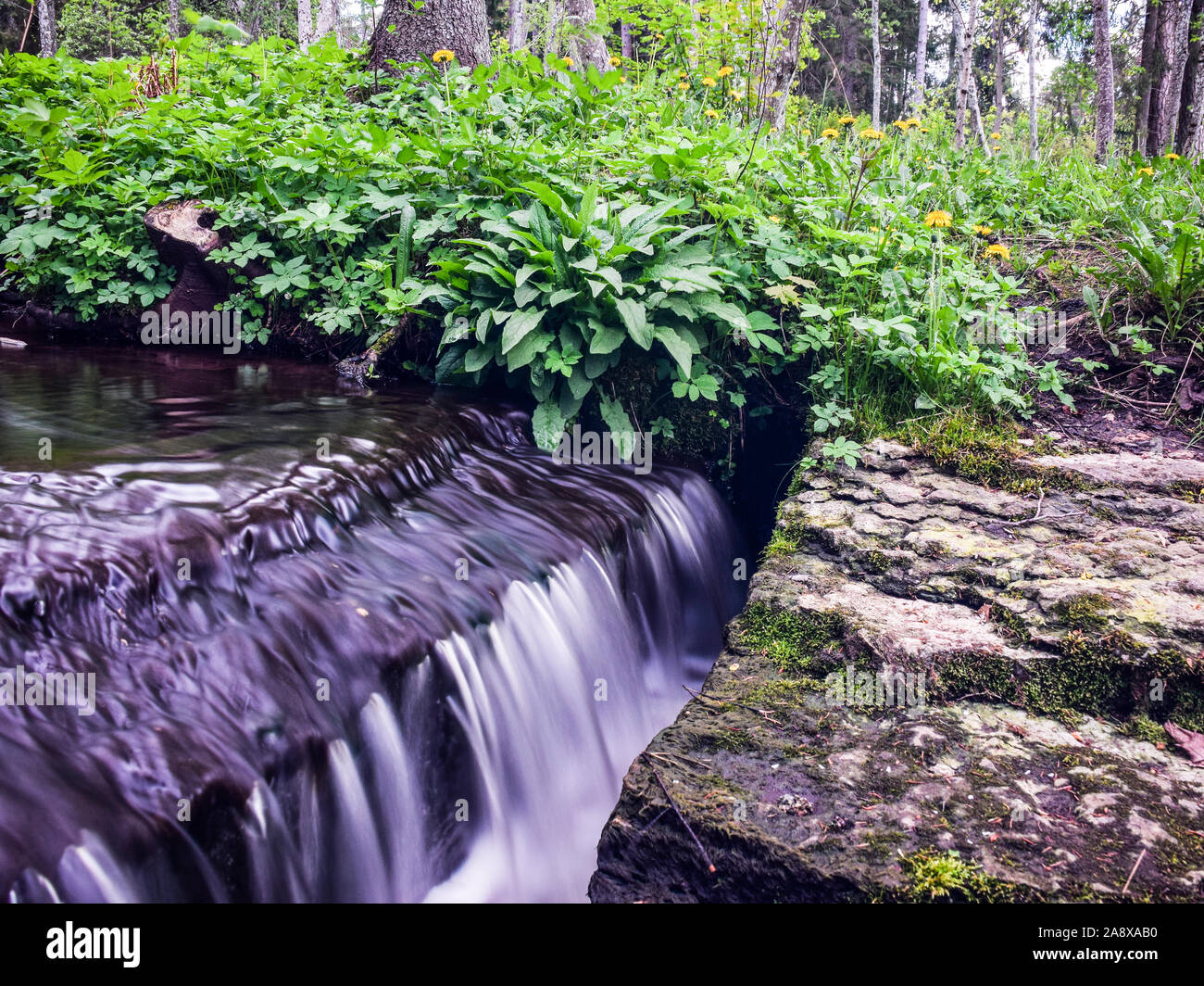waterfall, water, nature, stream, forest, cascade, landscape, river ...
