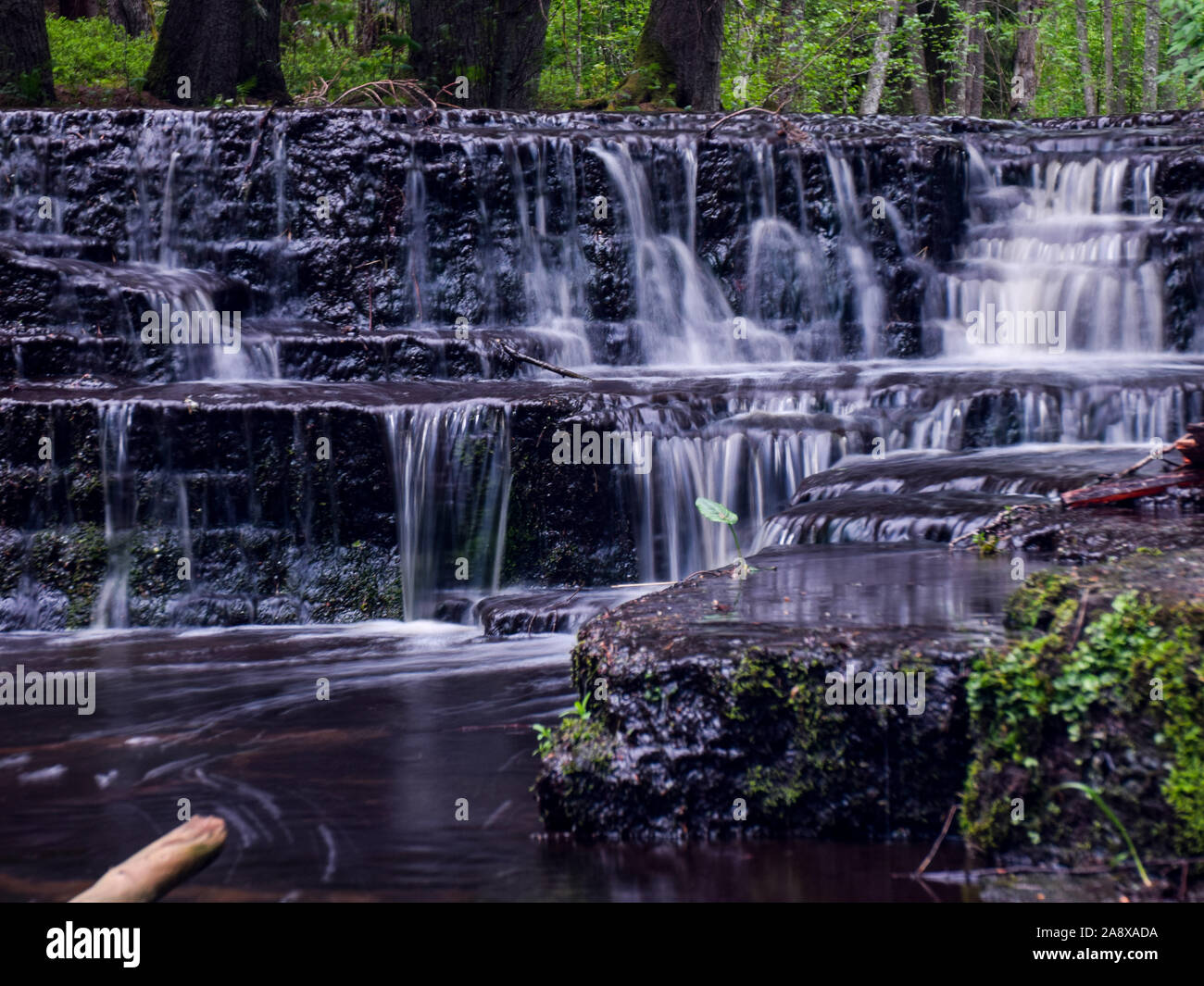waterfall, water, nature, stream, forest, cascade, landscape, river ...