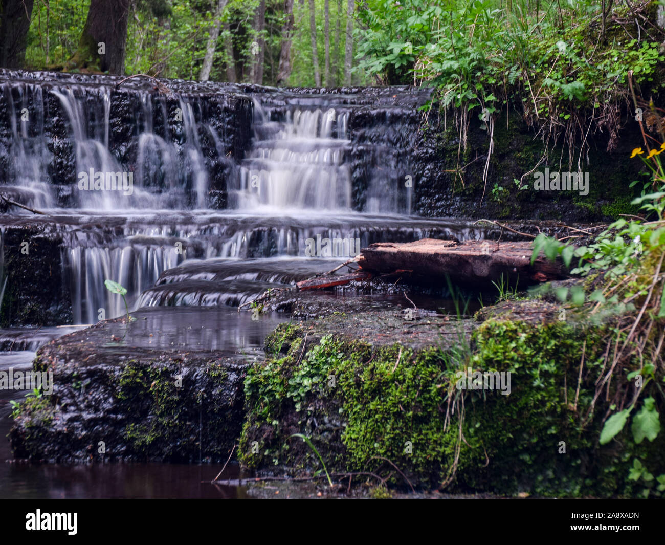 waterfall, water, nature, stream, forest, cascade, landscape, river ...