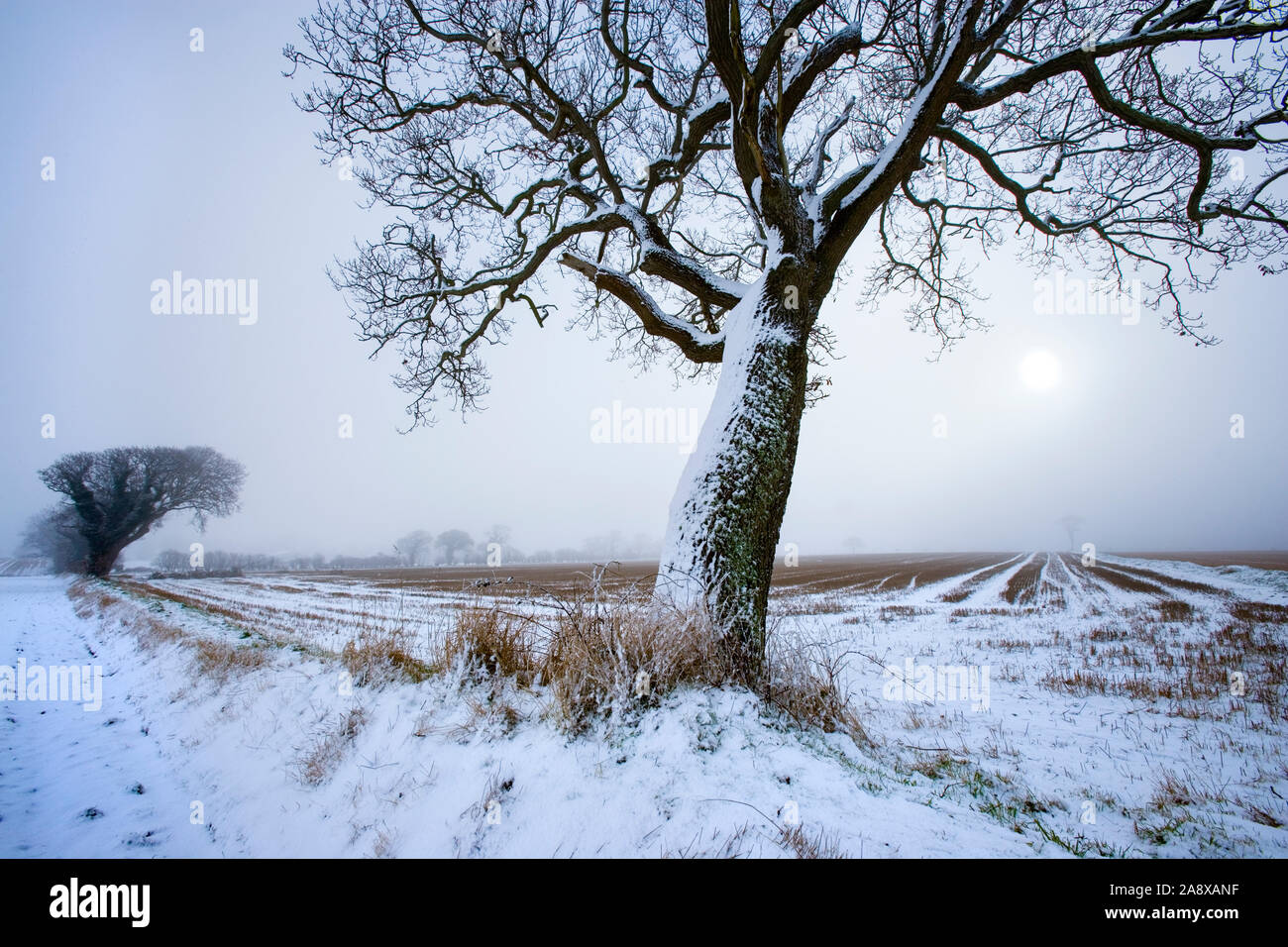 Snow covered winter landscape at sunrise hi-res stock photography and ...