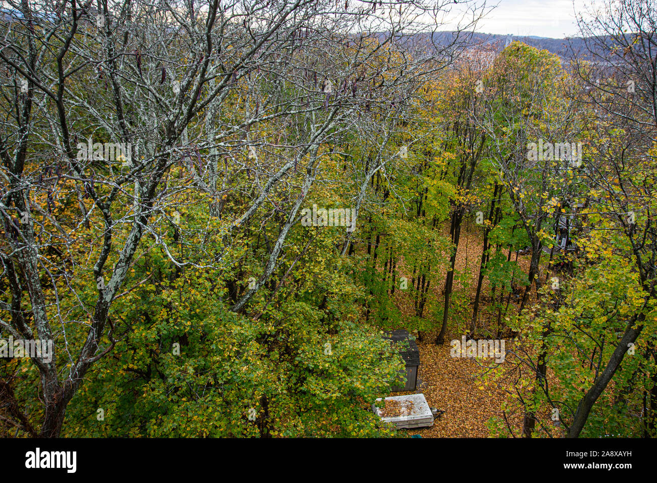 Family backyards hi-res stock photography and images - Alamy