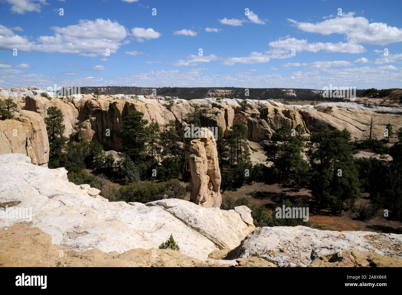 The sandstone summit of El Morro National Monument in the NW of New ...