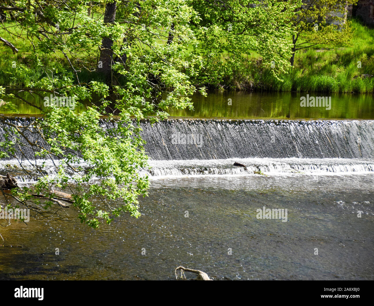 landscape with small river and green trees on shore, spring Stock Photo ...