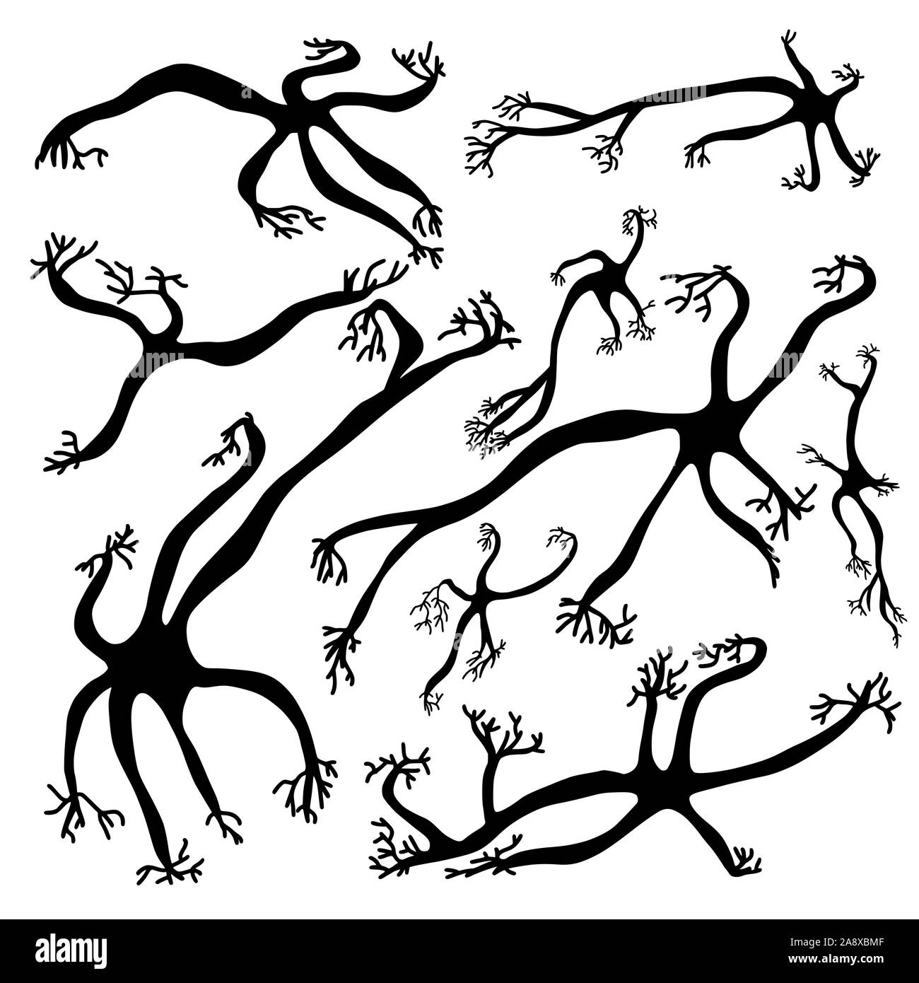 Neuron cells set. Collection of brain neurocyte. Vector illustartion ...