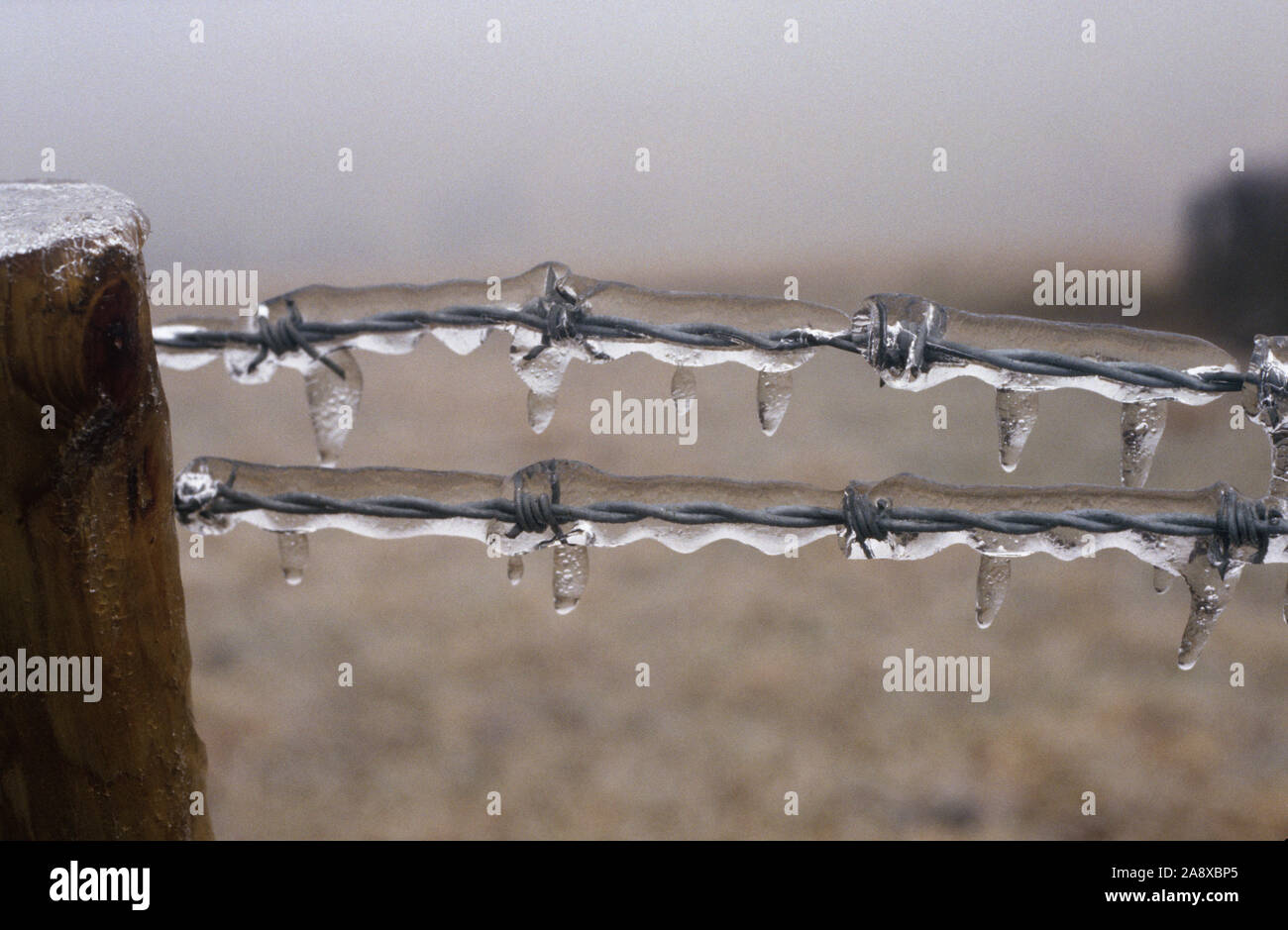 Glaze ice weather hi-res stock photography and images - Alamy