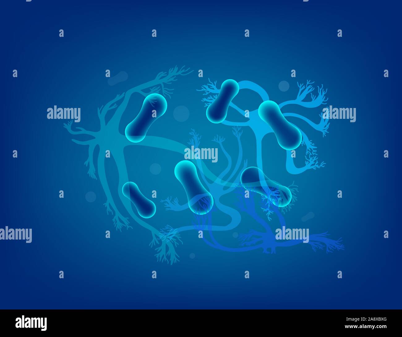Neuron cells with long axons. Vector illustartion Stock Vector Image ...