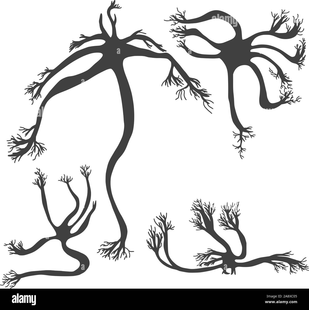 Neuron cells silhouette with long axons. Vector illustartion Stock ...