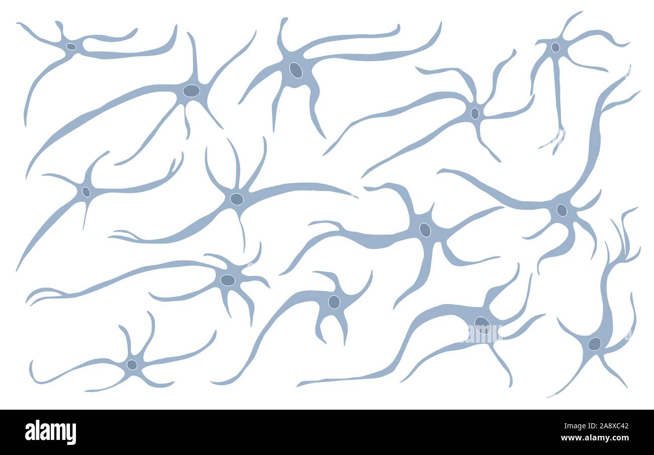Neuron cells set. Collection of brain neurocyte. Vector illustartion ...