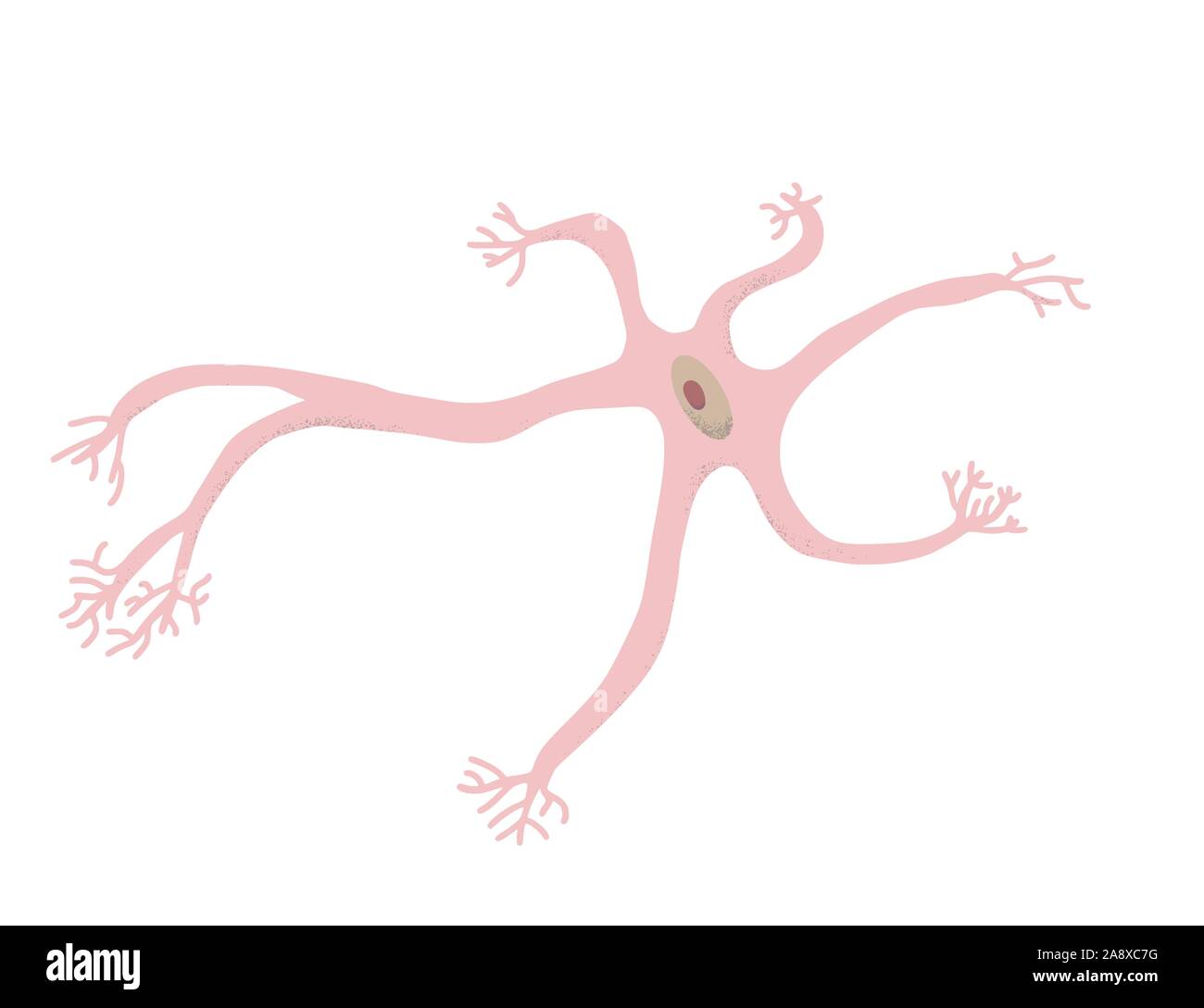 Neuron cell isolated. Brain cell with axones and dendrites. Vector ...
