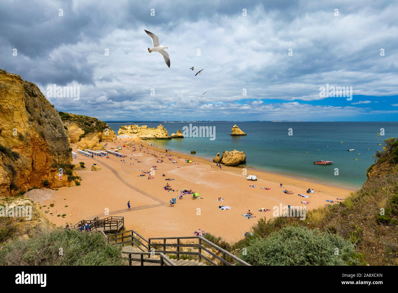 Praia de dona ana beach hi-res stock photography and images - Alamy