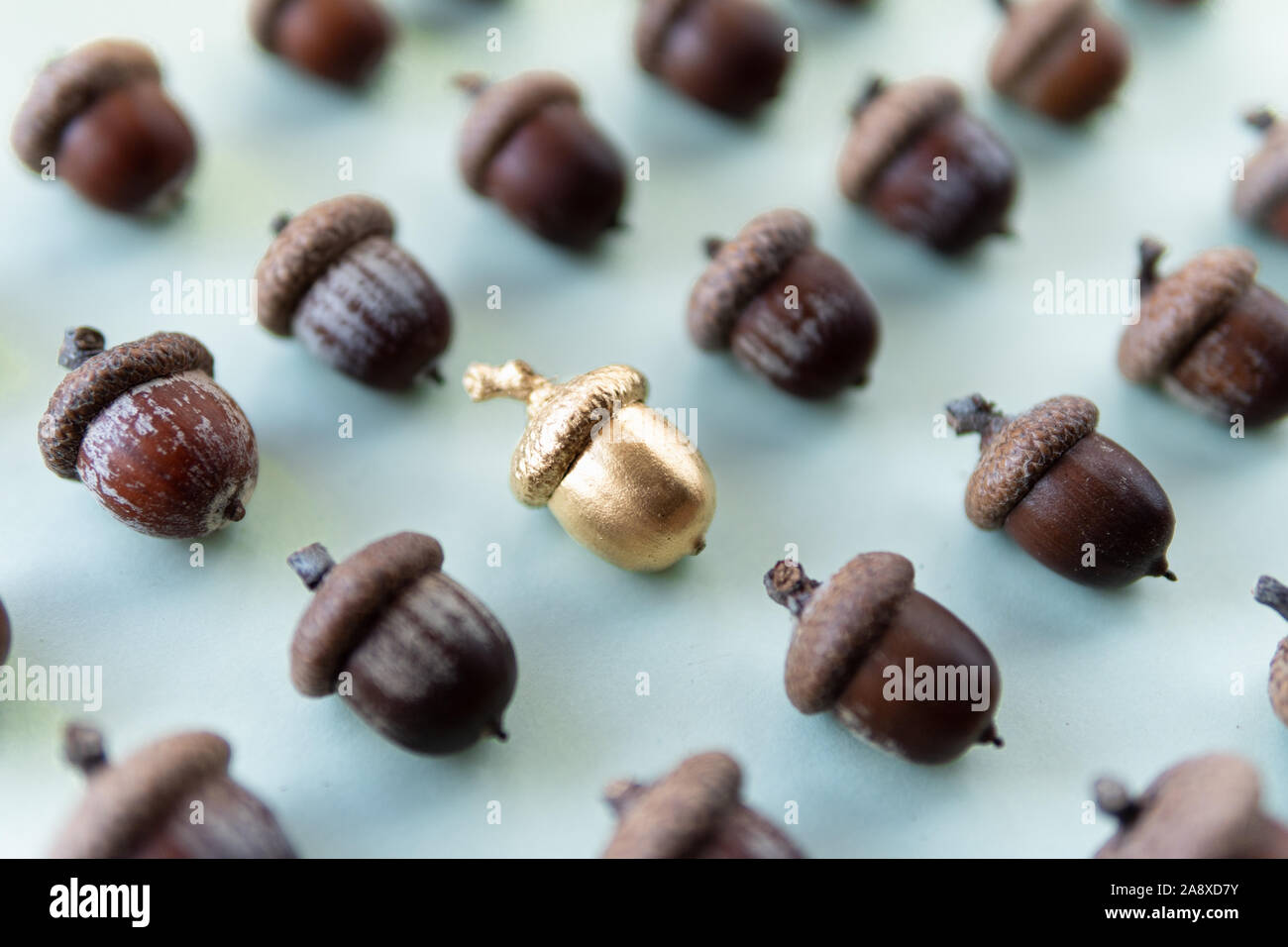 Pattern of oak tree acorns on natural green background with one golden ...