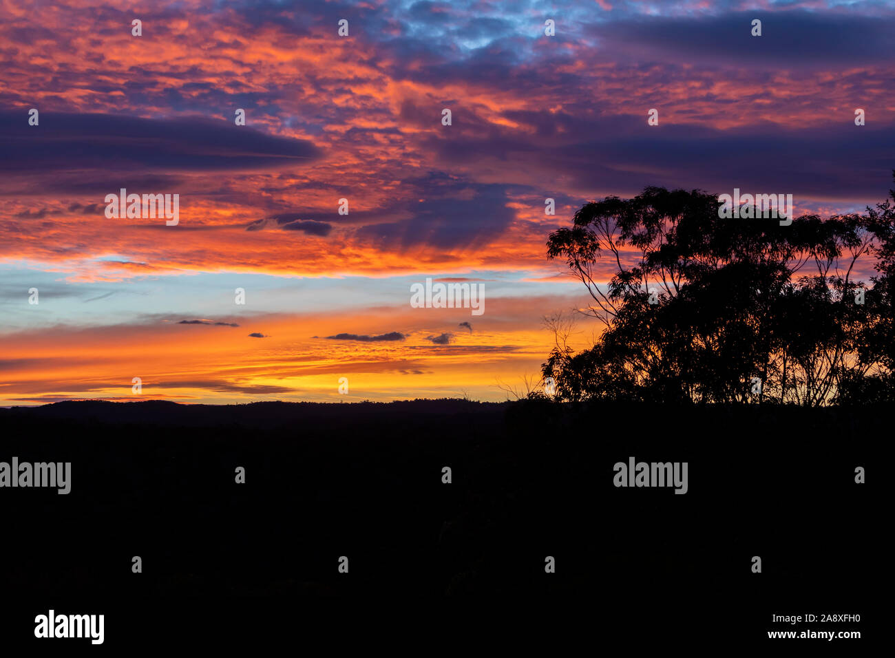 Vibrant red sunset caused by bushfire smoke in the blue mountains in ...