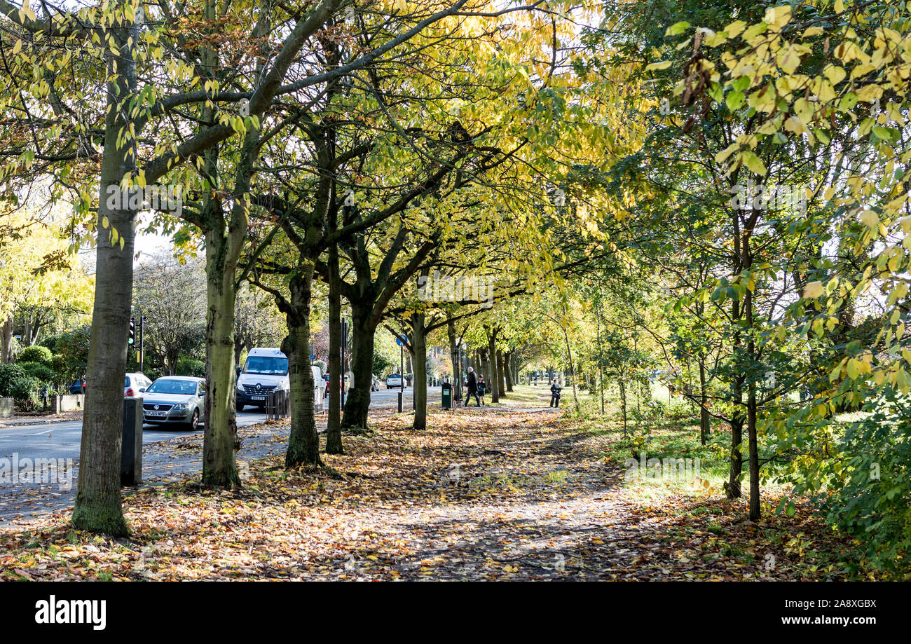 History of wandsworth hi-res stock photography and images - Alamy