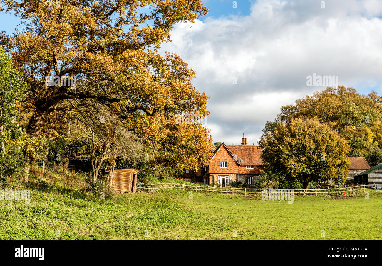 Surrey farm land hi-res stock photography and images - Alamy