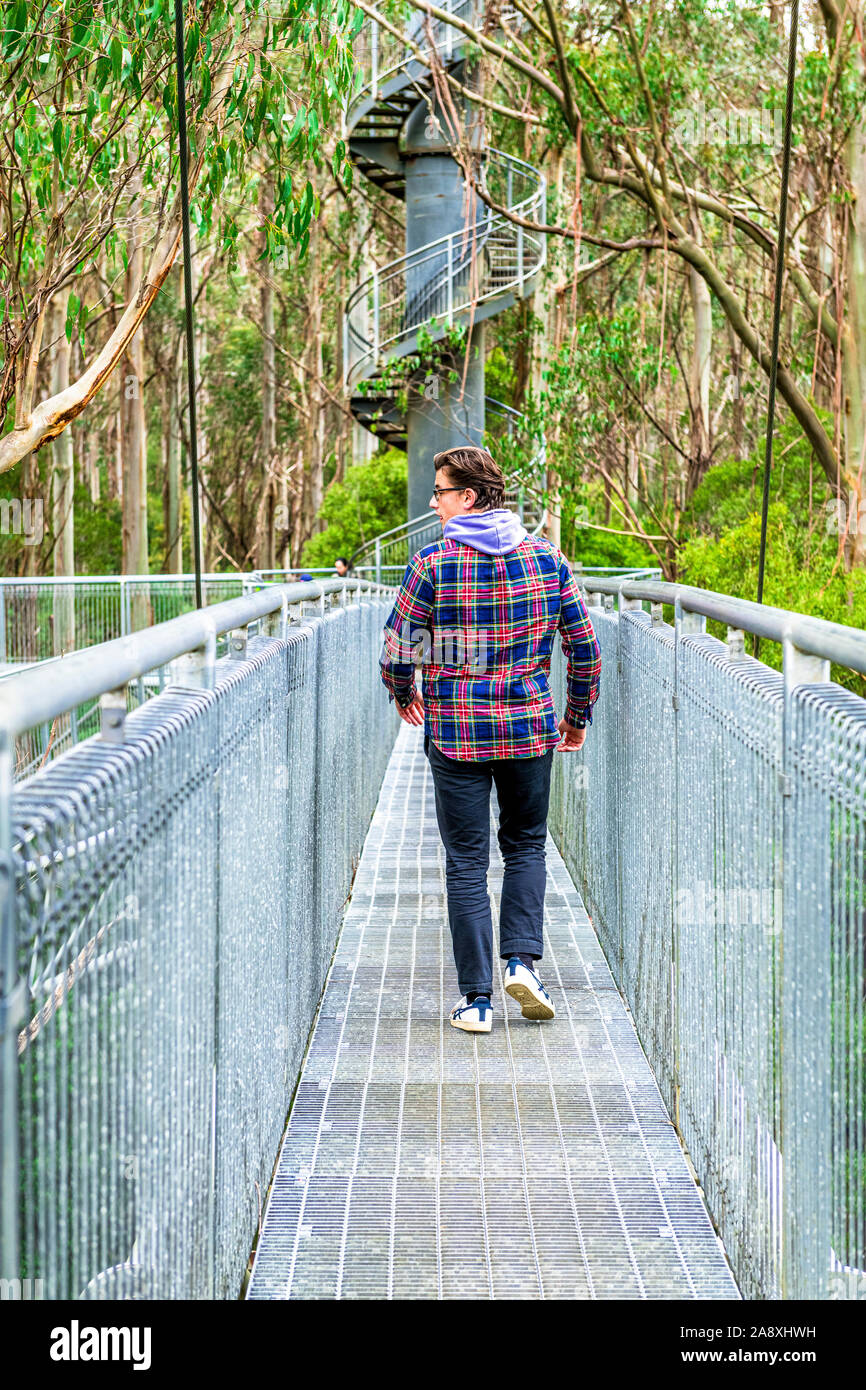A male tourist walks along the metal treetop walkway through the ...
