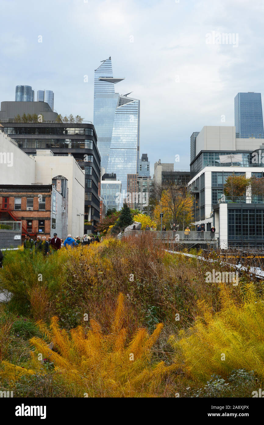 NEW YORK, NY - 05 NOV 2019: High Line garden and city skyline. High ...