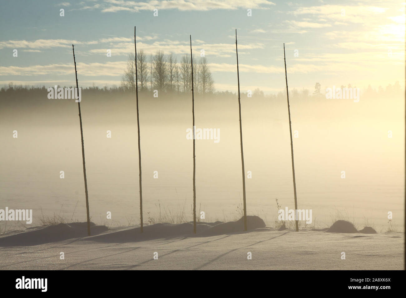 Tall poles hi-res stock photography and images - Alamy