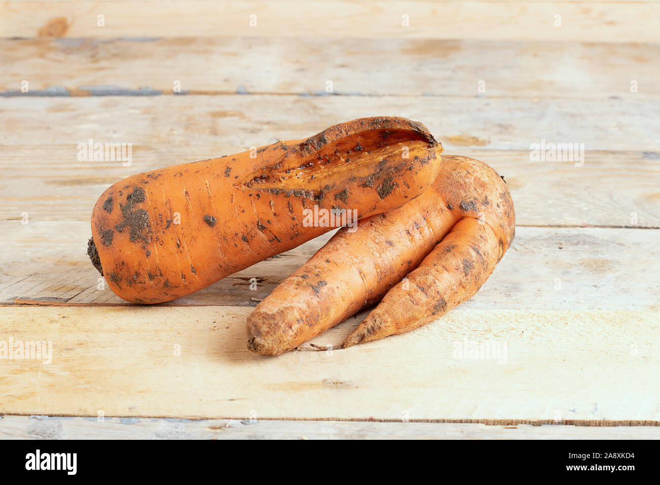 The crooked carrot hi-res stock photography and images - Alamy