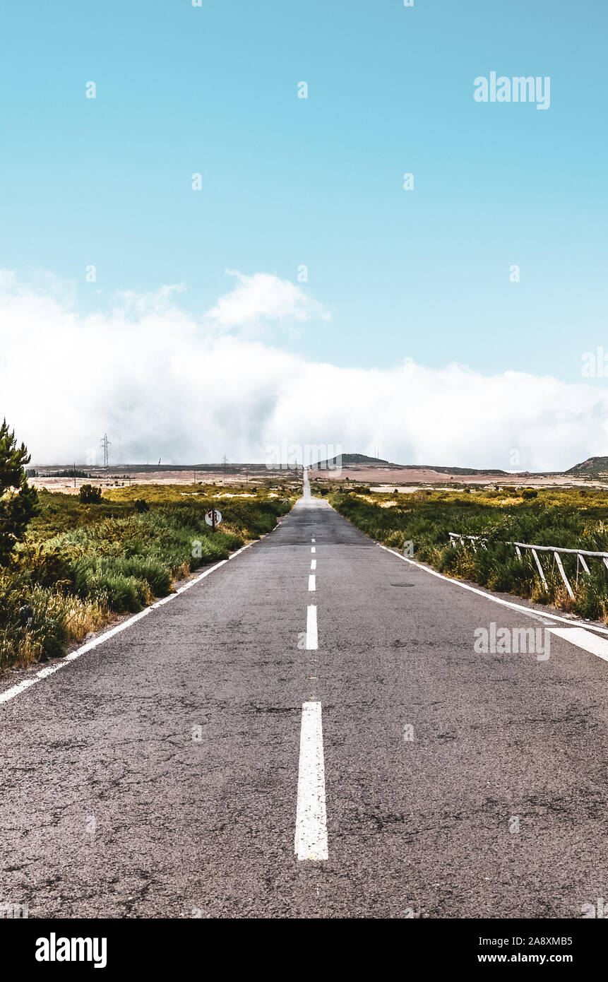 Empty straight highway surrounded by dry subtropical landcape ...