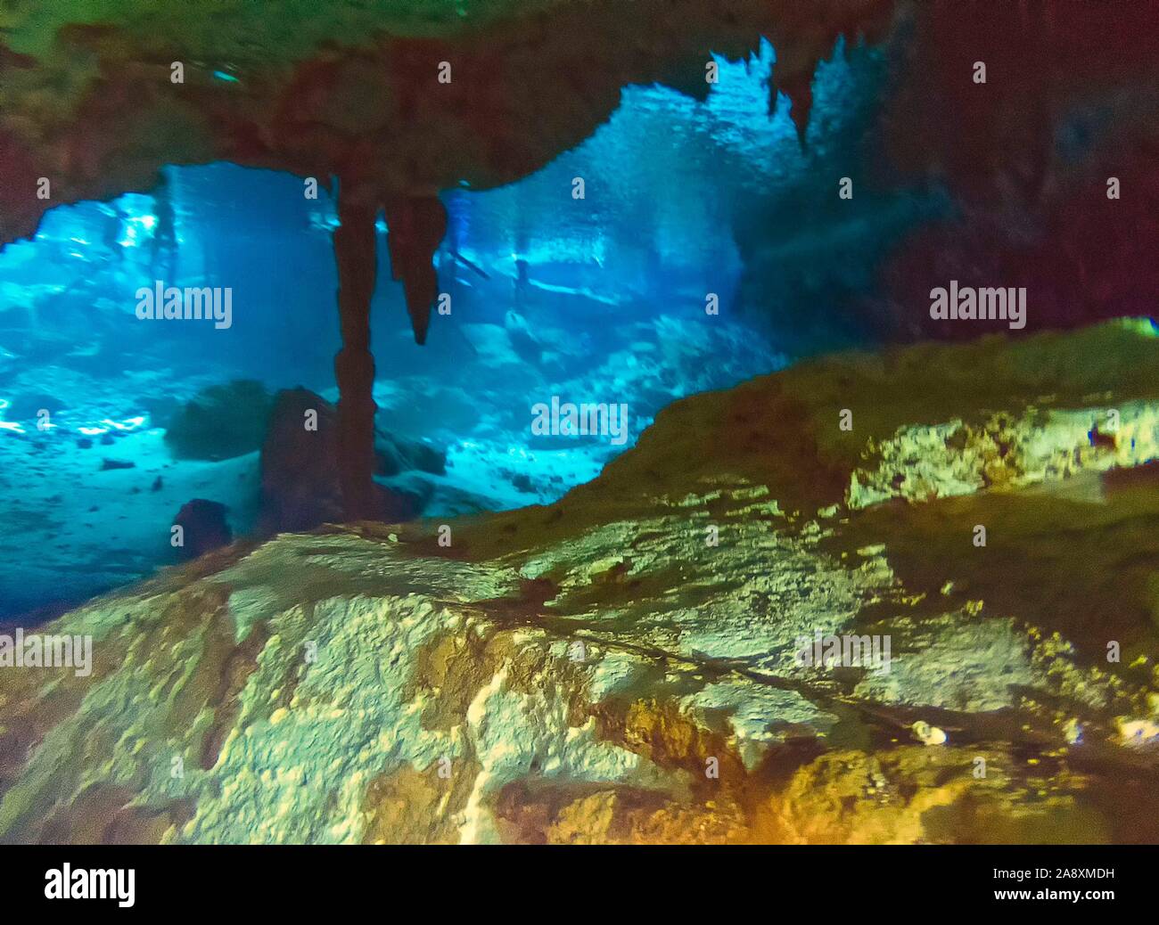 Underwater formations in the Dos Ojos cenote near Tulum, Mexico Stock ...