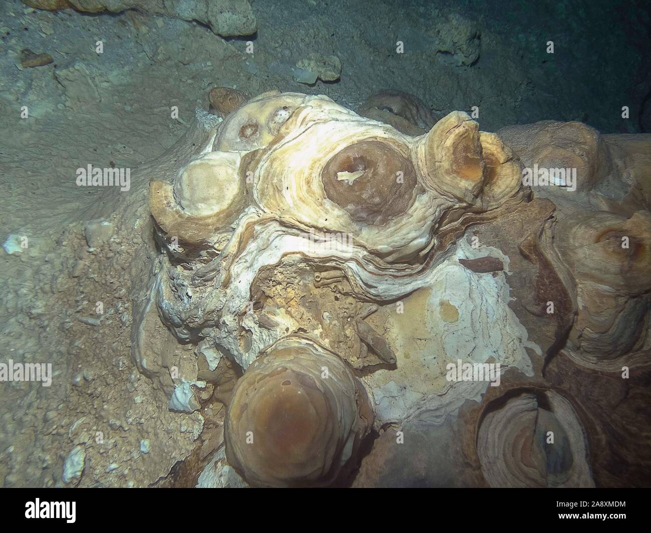 Underwater limestone cave formations hi-res stock photography and ...