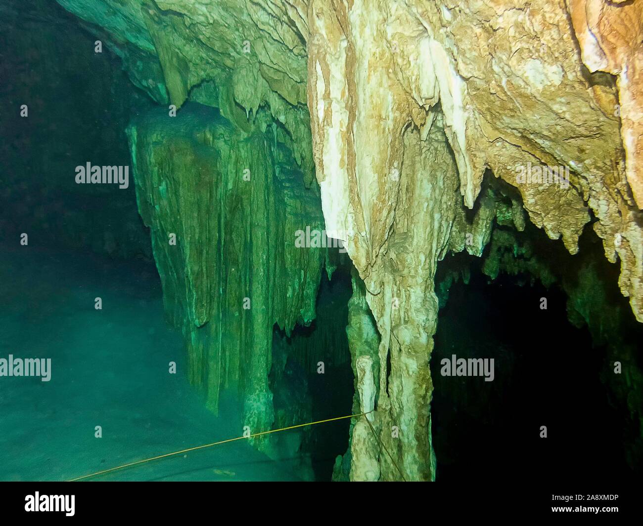 Underwater formations in the Dos Ojos cenote near Tulum, Mexico Stock ...