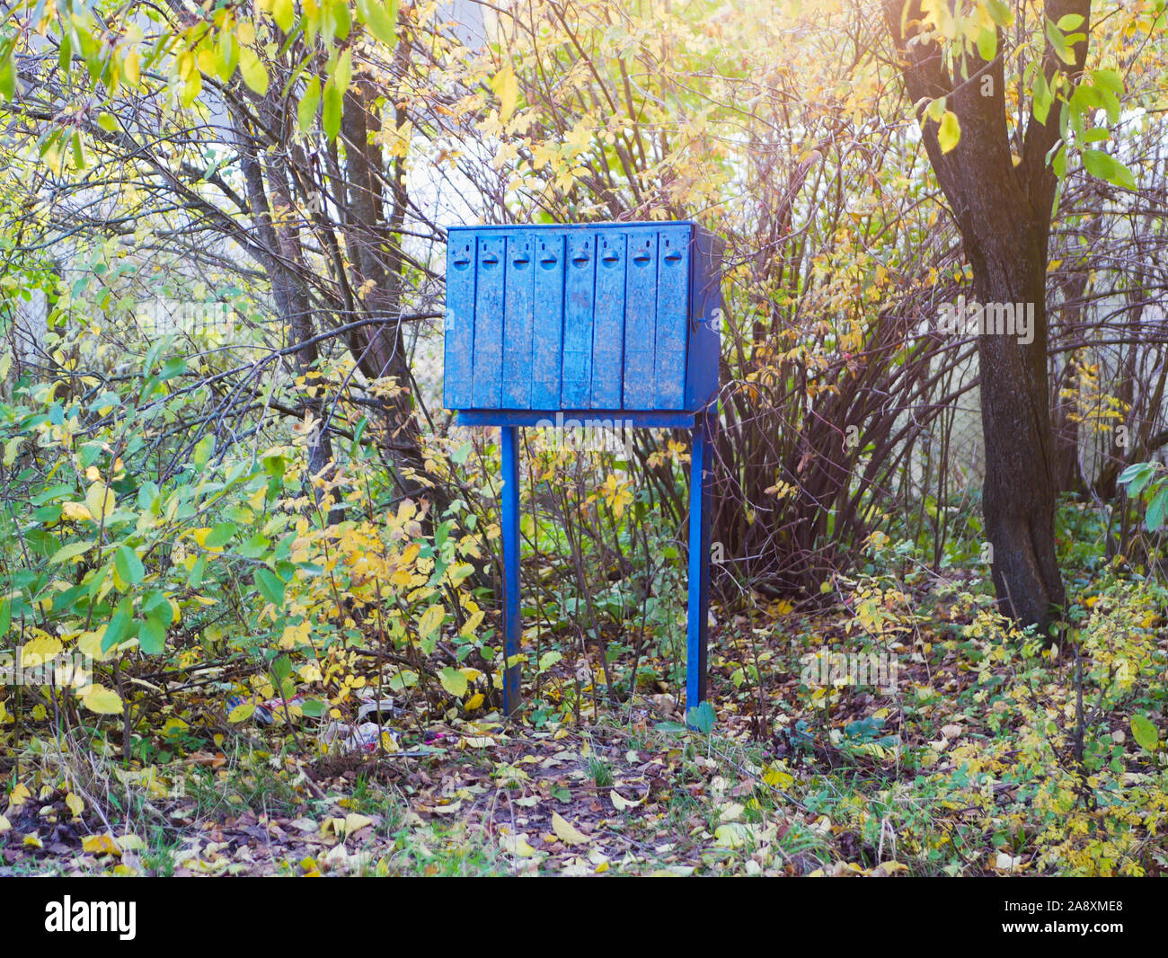Abandoned mailbox. Abandoned blue mailbox in the forest. forest post ...