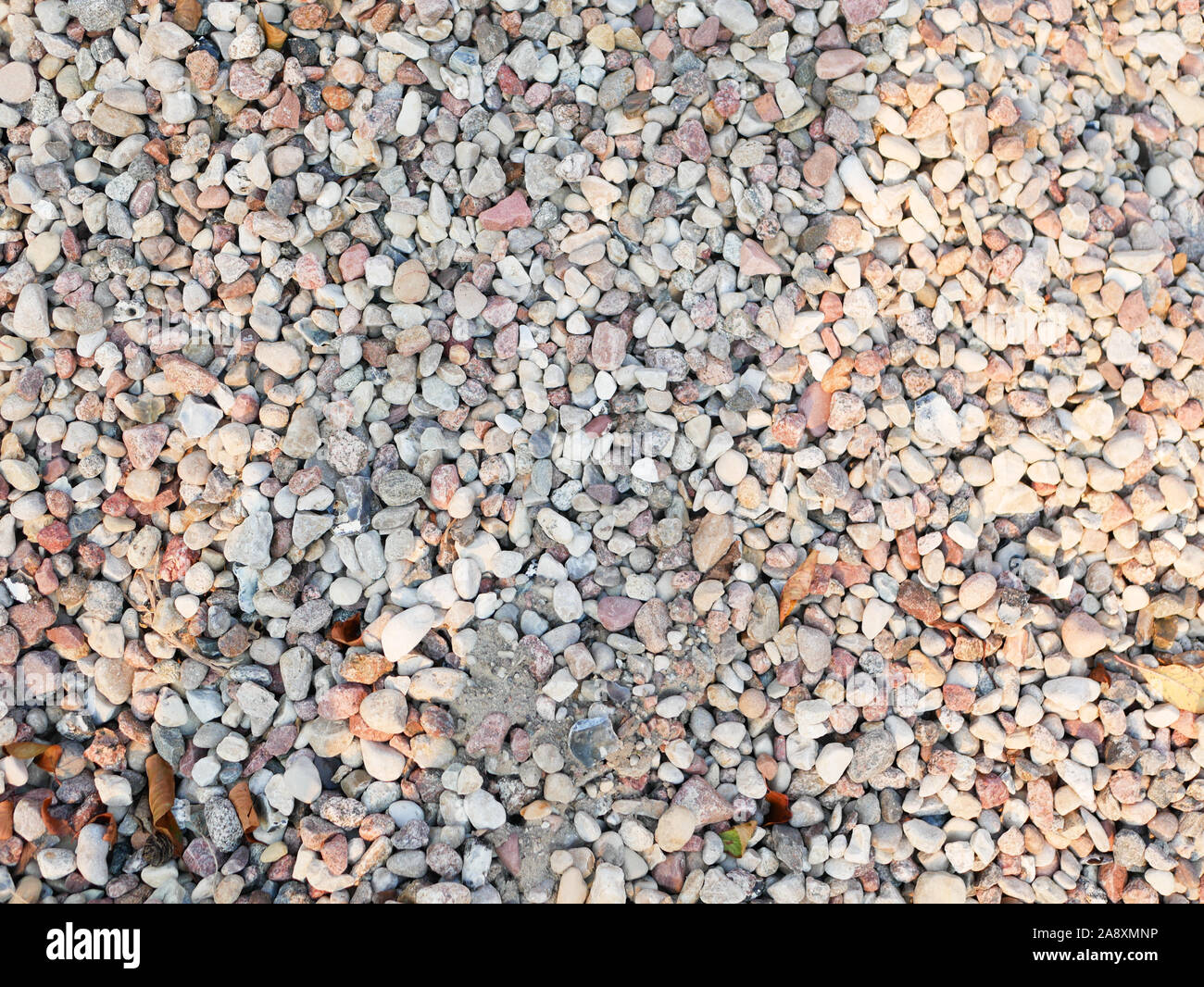 Pebbles closeup. High quality close up photo of various pebbles. On a ...
