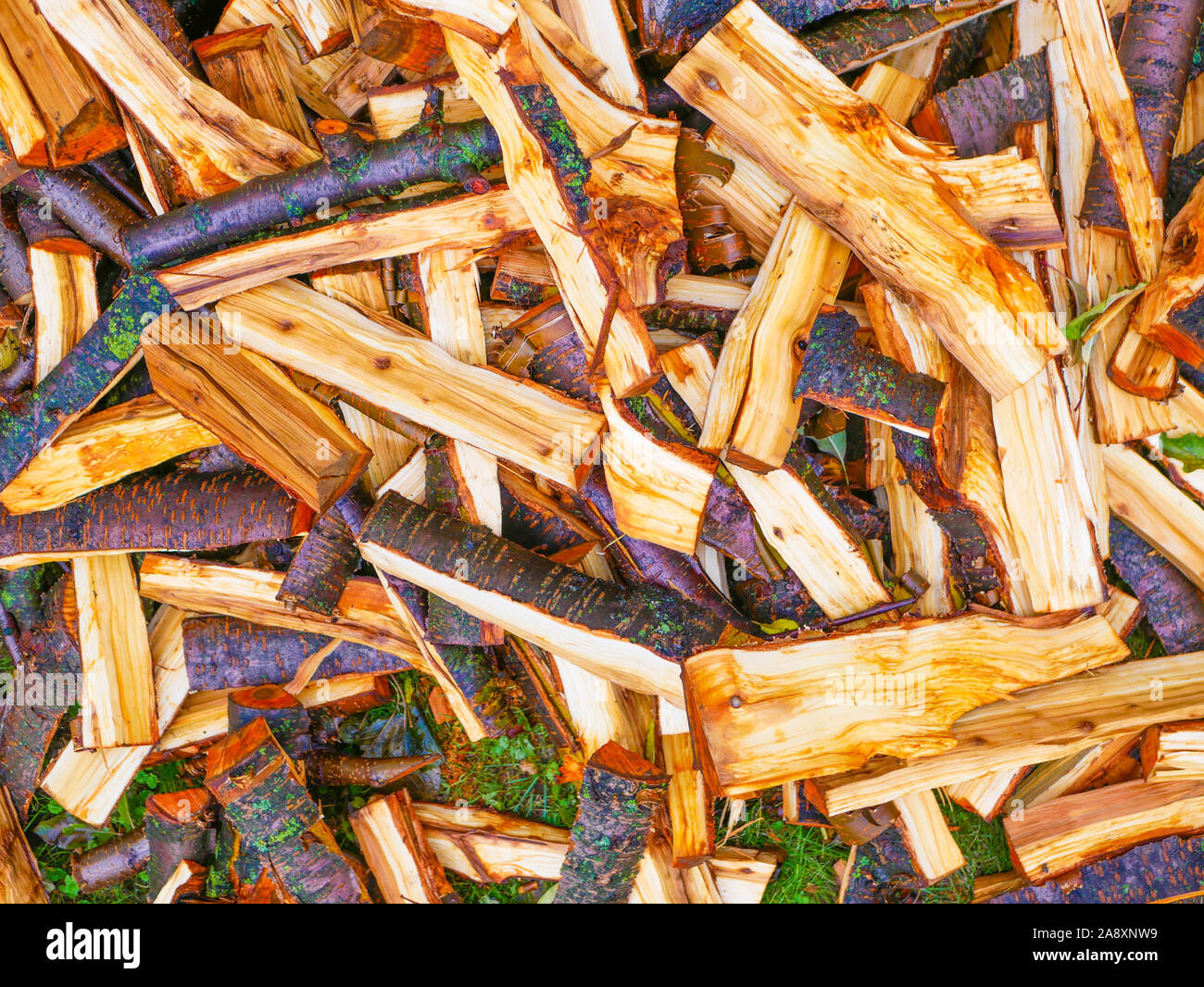 Wet logs hi-res stock photography and images - Alamy