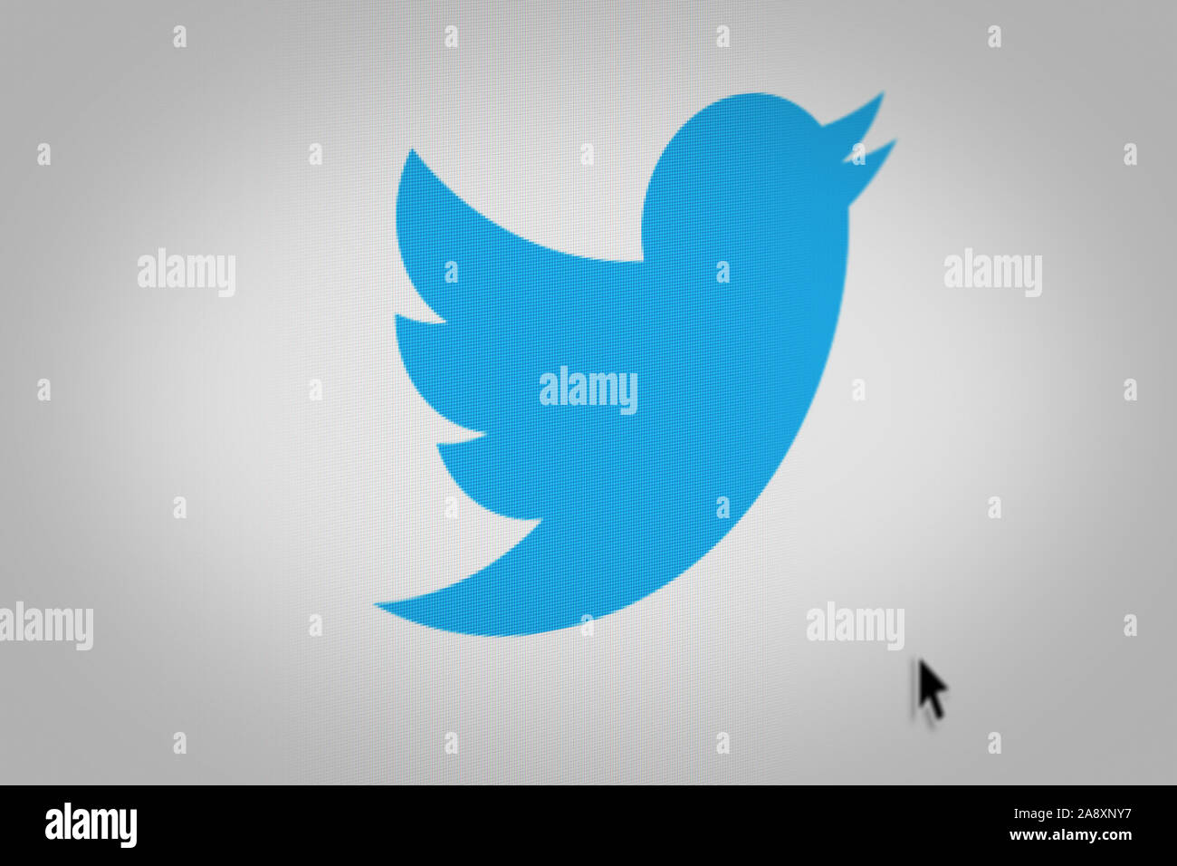 Logo of the public company Twitter, Inc. displayed on a computer screen ...