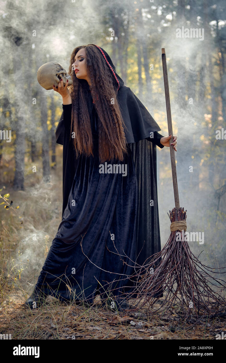 Cape broom hi-res stock photography and images - Alamy