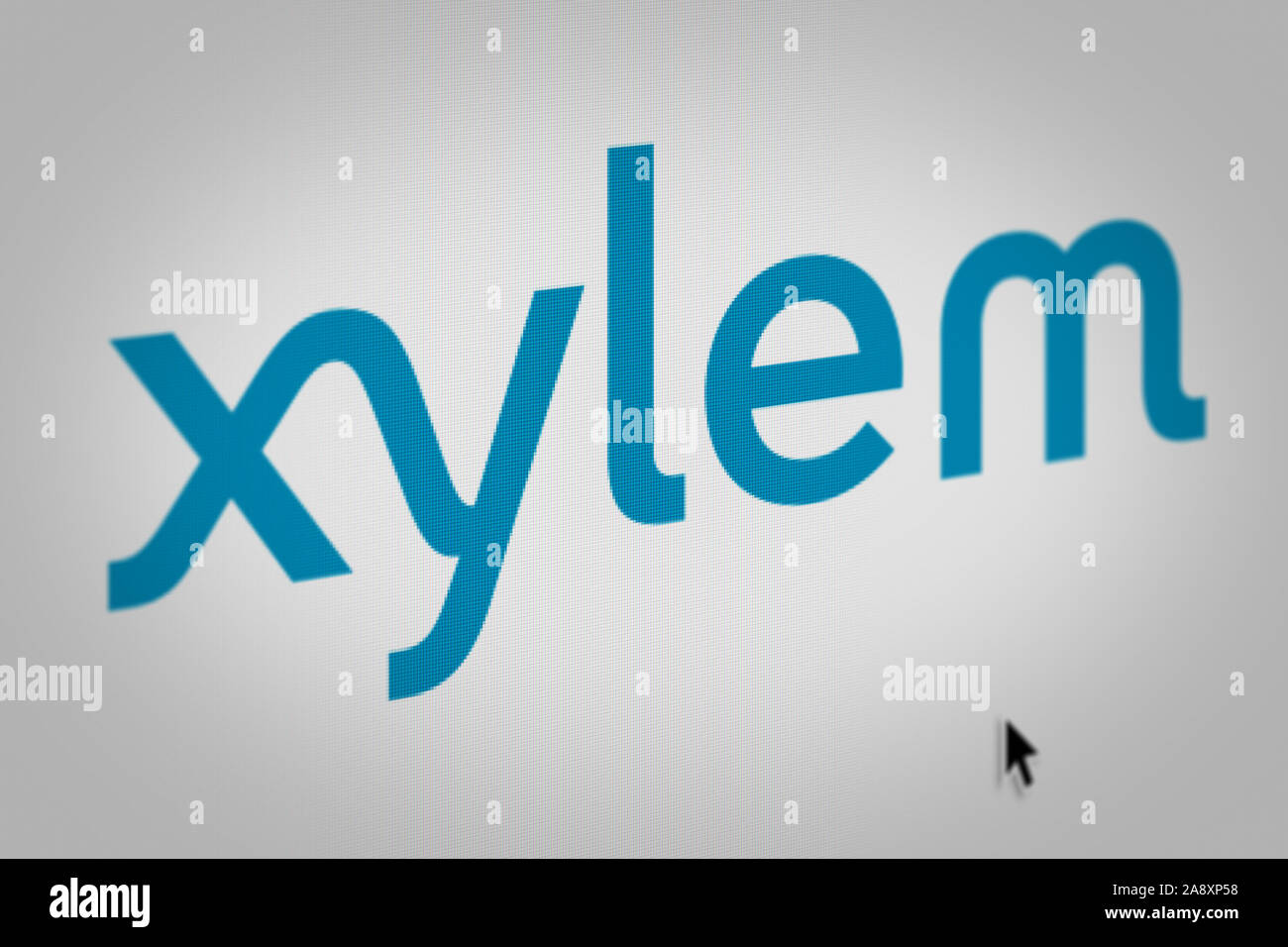 Xylem Stock Xylem Photos And Premium High Res Pictures Getty Images