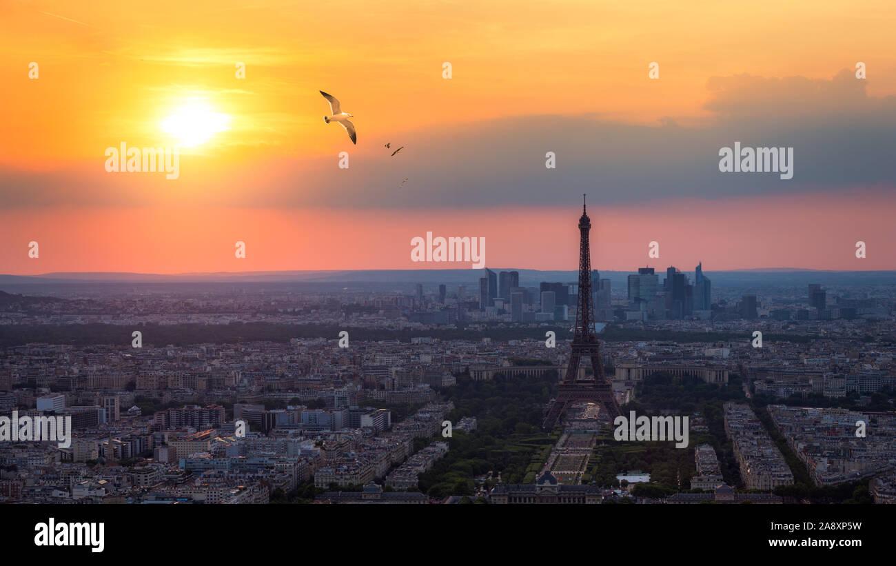 High resolution aerial panorama of Paris, France taken from the Notre ...