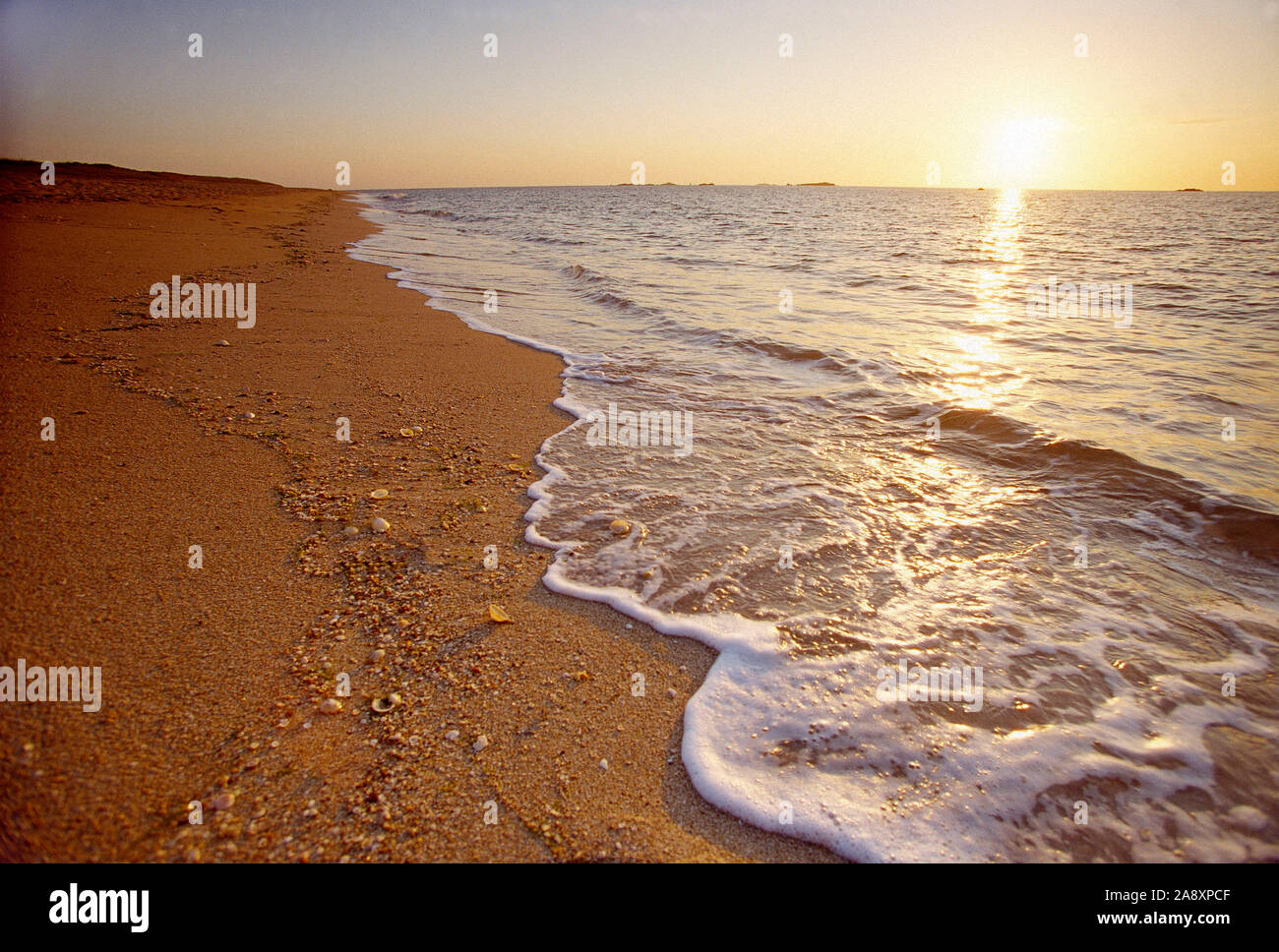 Guernsey. Herm Island. Shell Beach at sunrise Stock Photo - Alamy