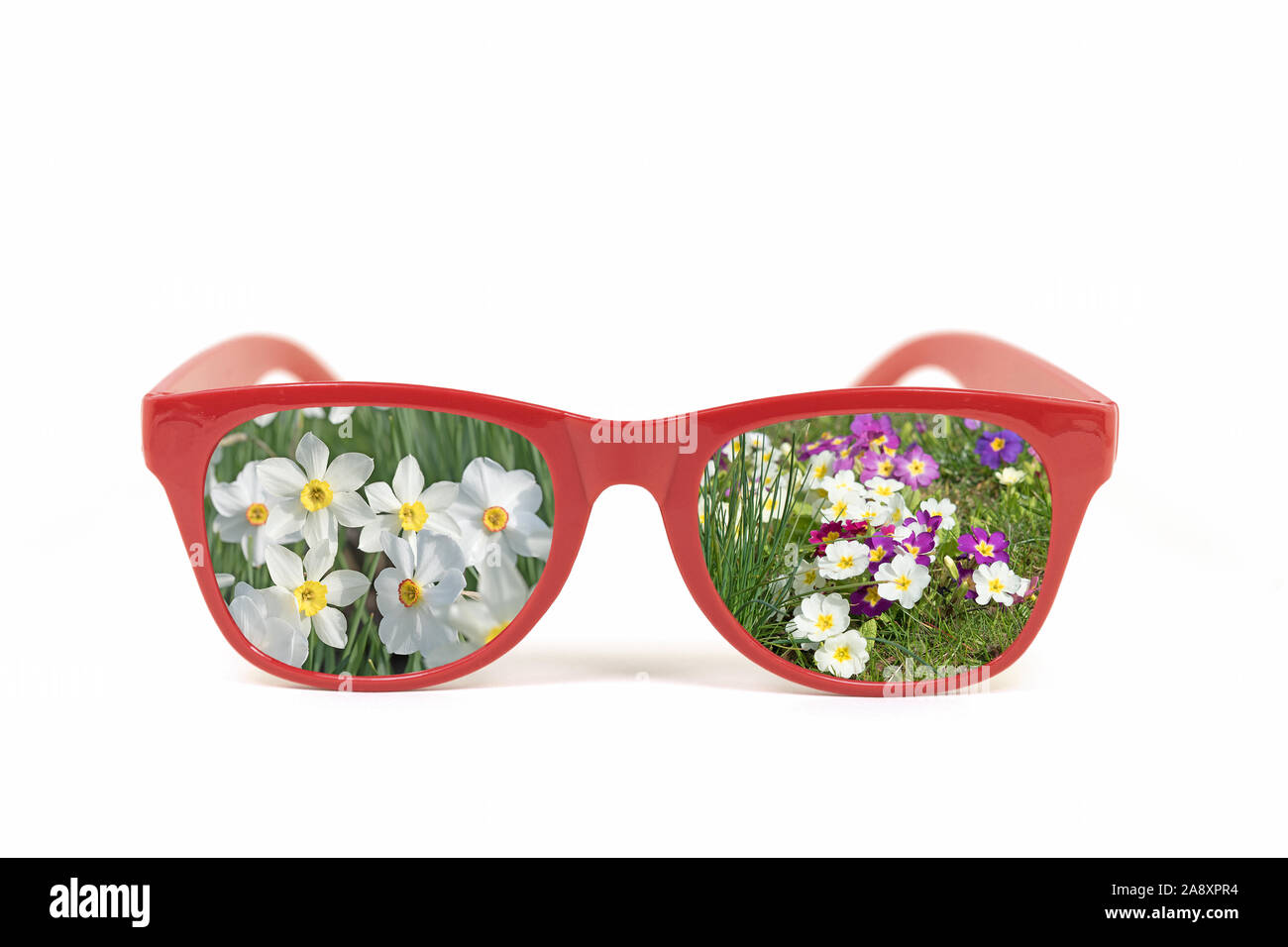 Spring awakening Cut Out Stock Images & Pictures - Alamy