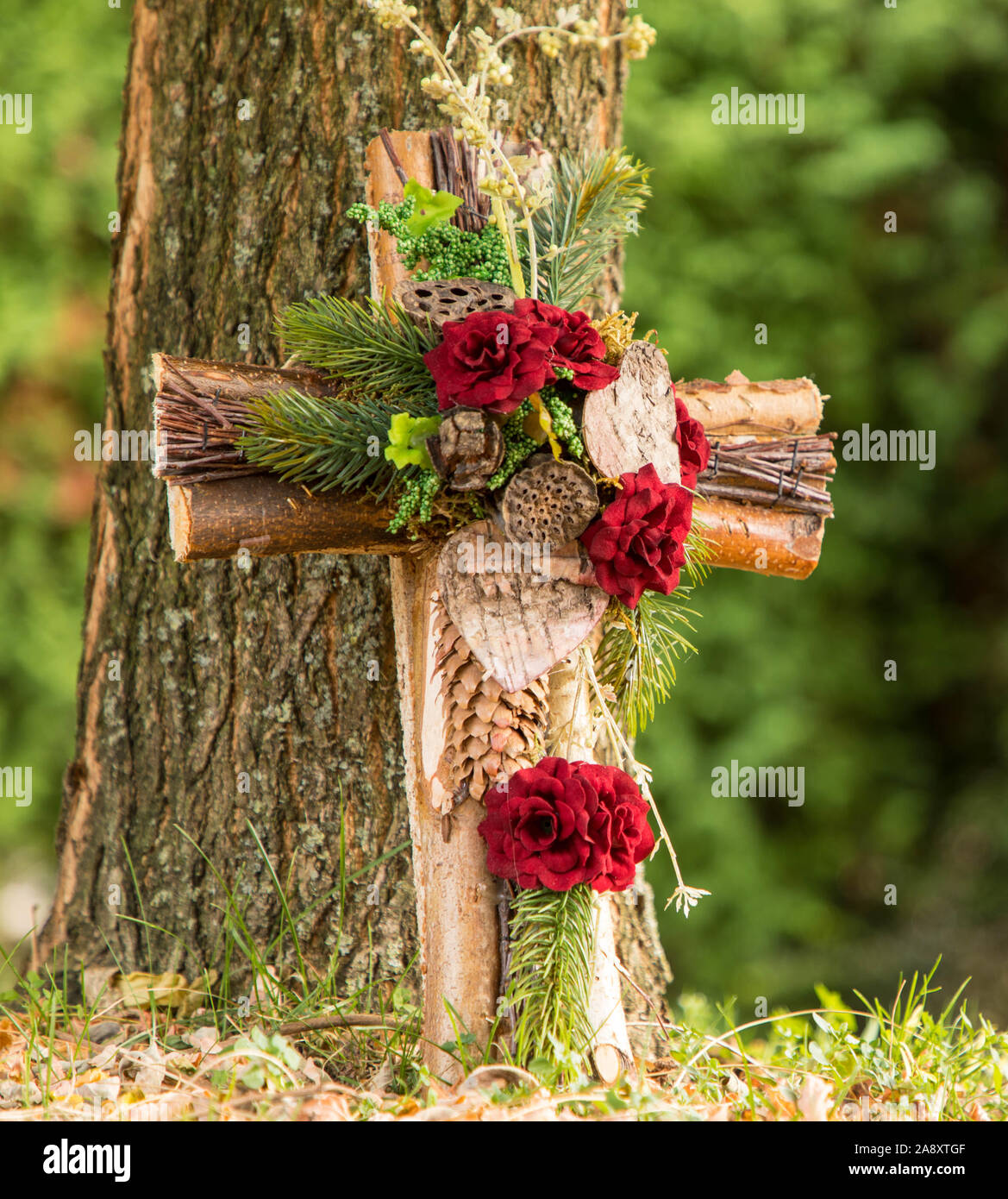 Dig up coffin hi-res stock photography and images - Alamy