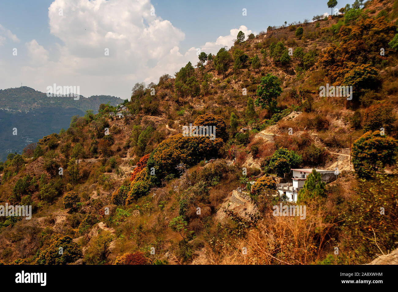 Small village on the Kumaon Hills, Uttarakhand, India Stock Photo - Alamy
