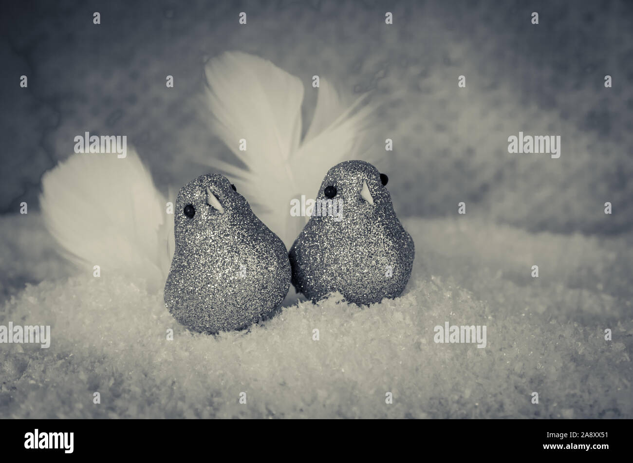 shining silver birds in snowy background Stock Photo - Alamy