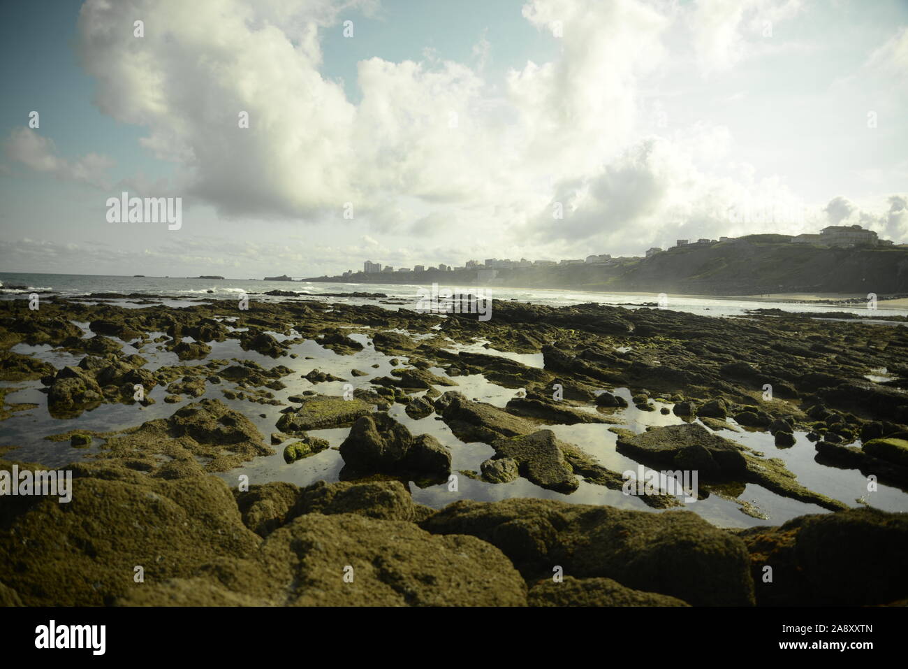 South-West France. Rock pools along the Basque Coast, pasakdek Stock ...