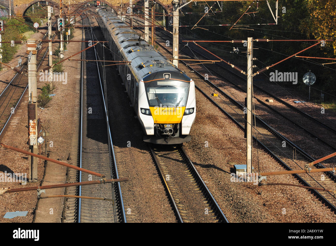 Modern emu hi-res stock photography and images - Alamy