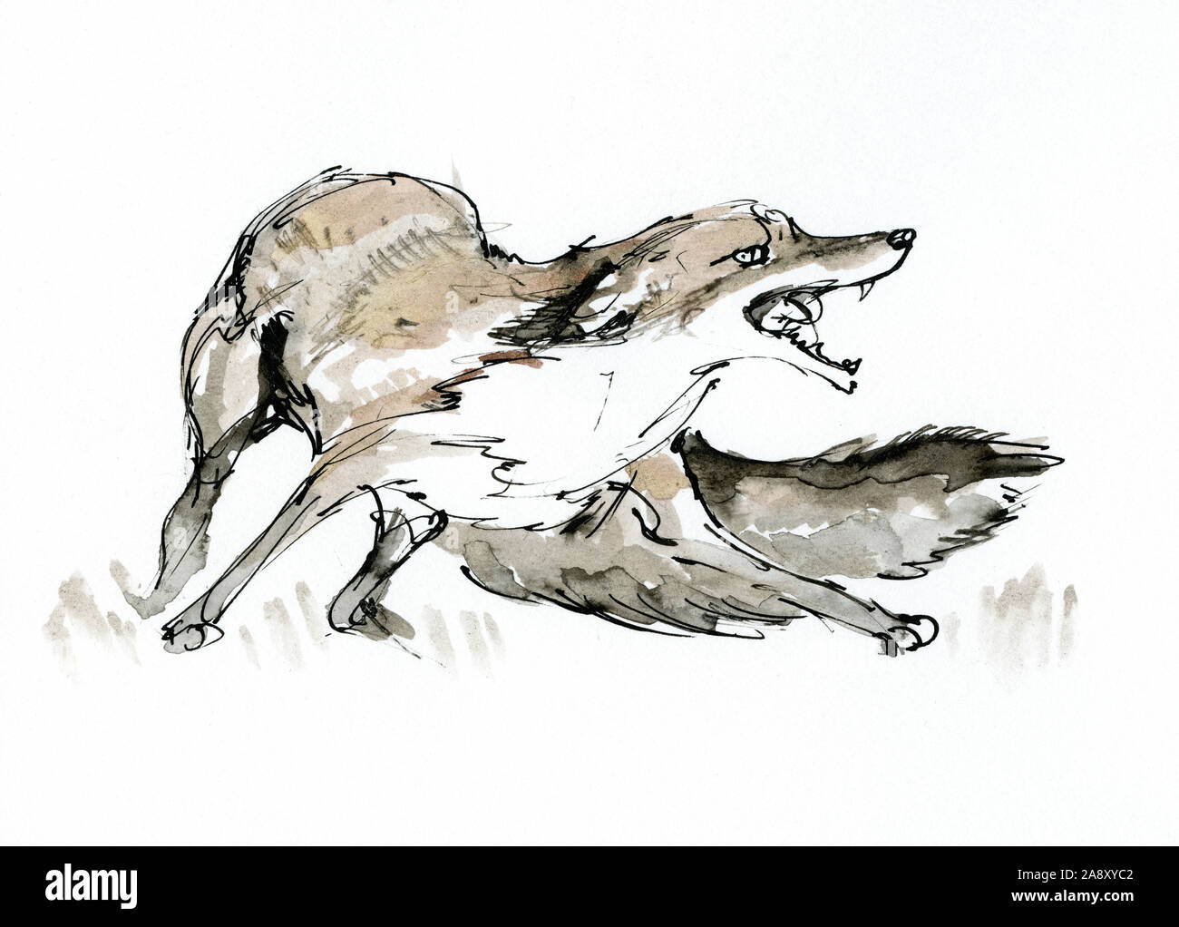 Scared fox hi-res stock photography and images - Alamy