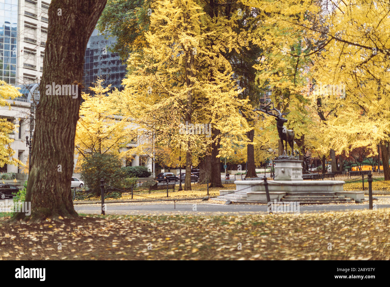 Portland, Oregon - Nov 10, 2019 : Scene of yellow autumn park in ...