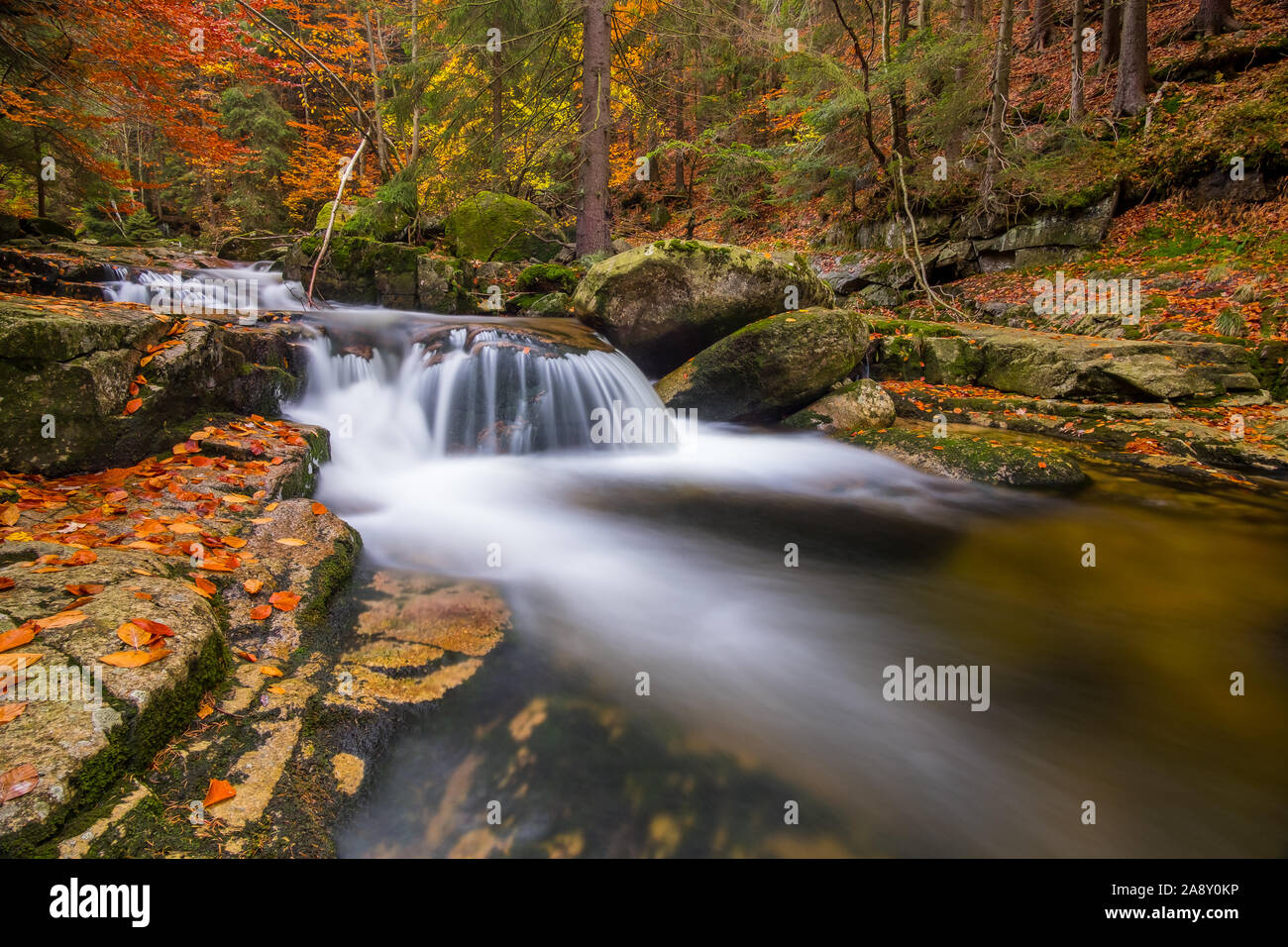 Durski hi-res stock photography and images - Alamy