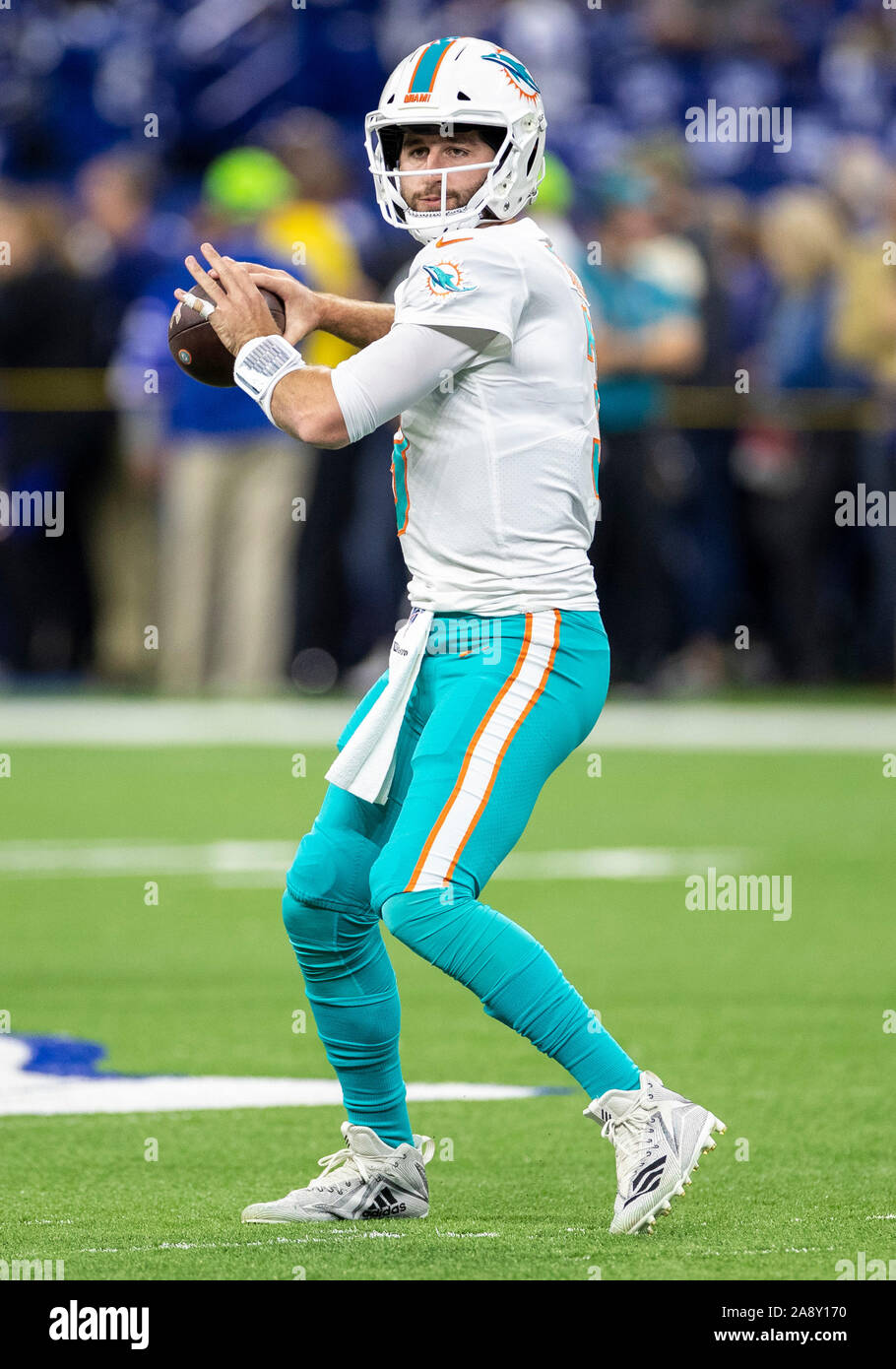 12 rosen hi-res stock photography and images - Alamy