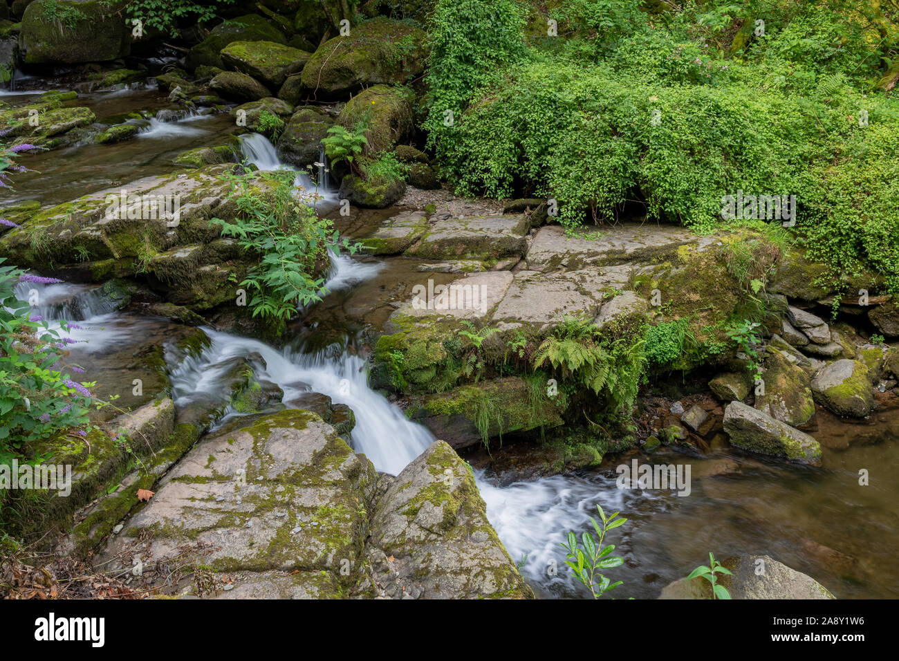 Long exposure of the West Lyn river flowing through the woods at Glen ...