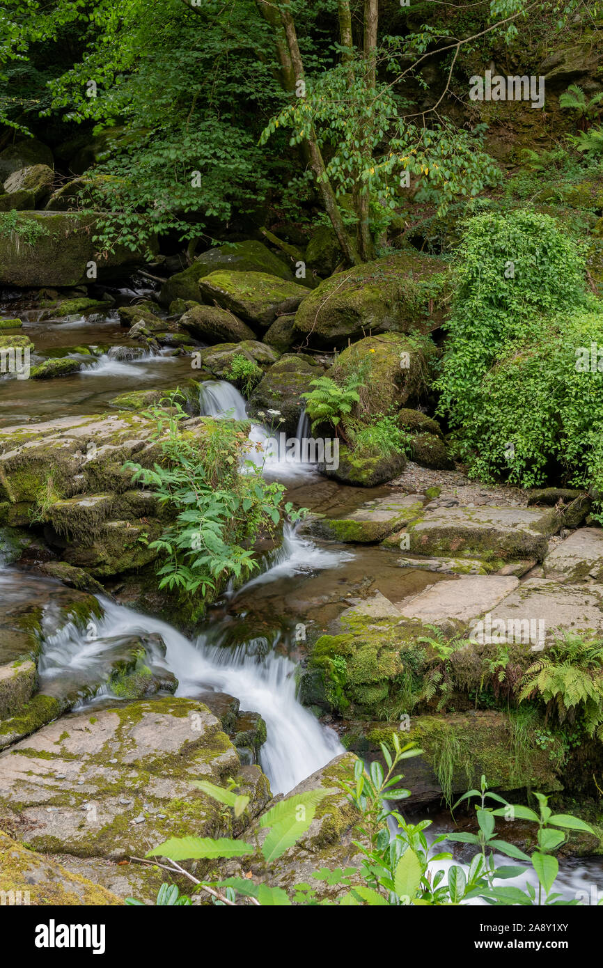 Long exposure of the West Lyn river flowing through the woods at Glen ...