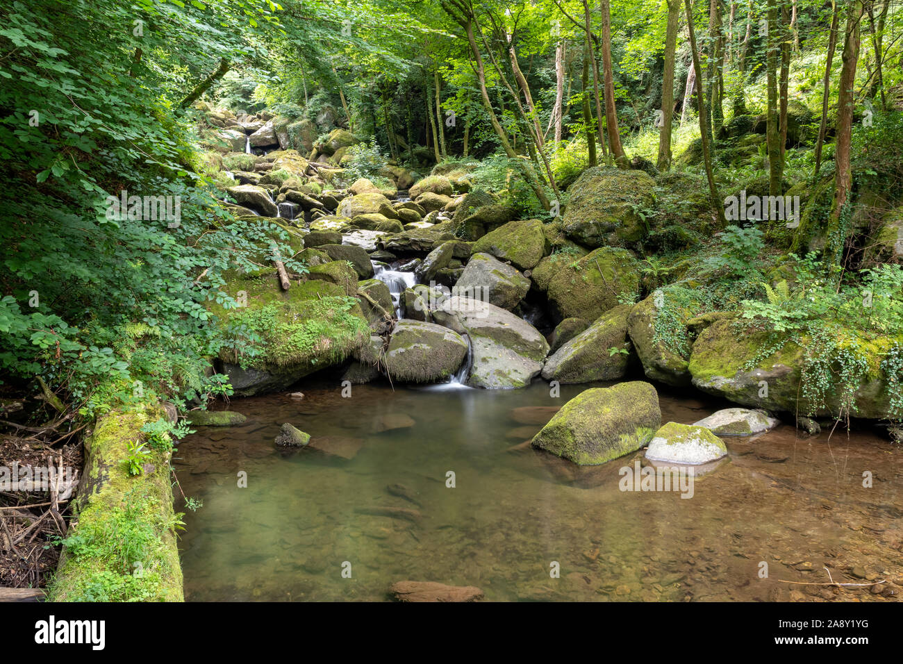 Long exposure of the West Lyn river flowing through the woods at Glen ...