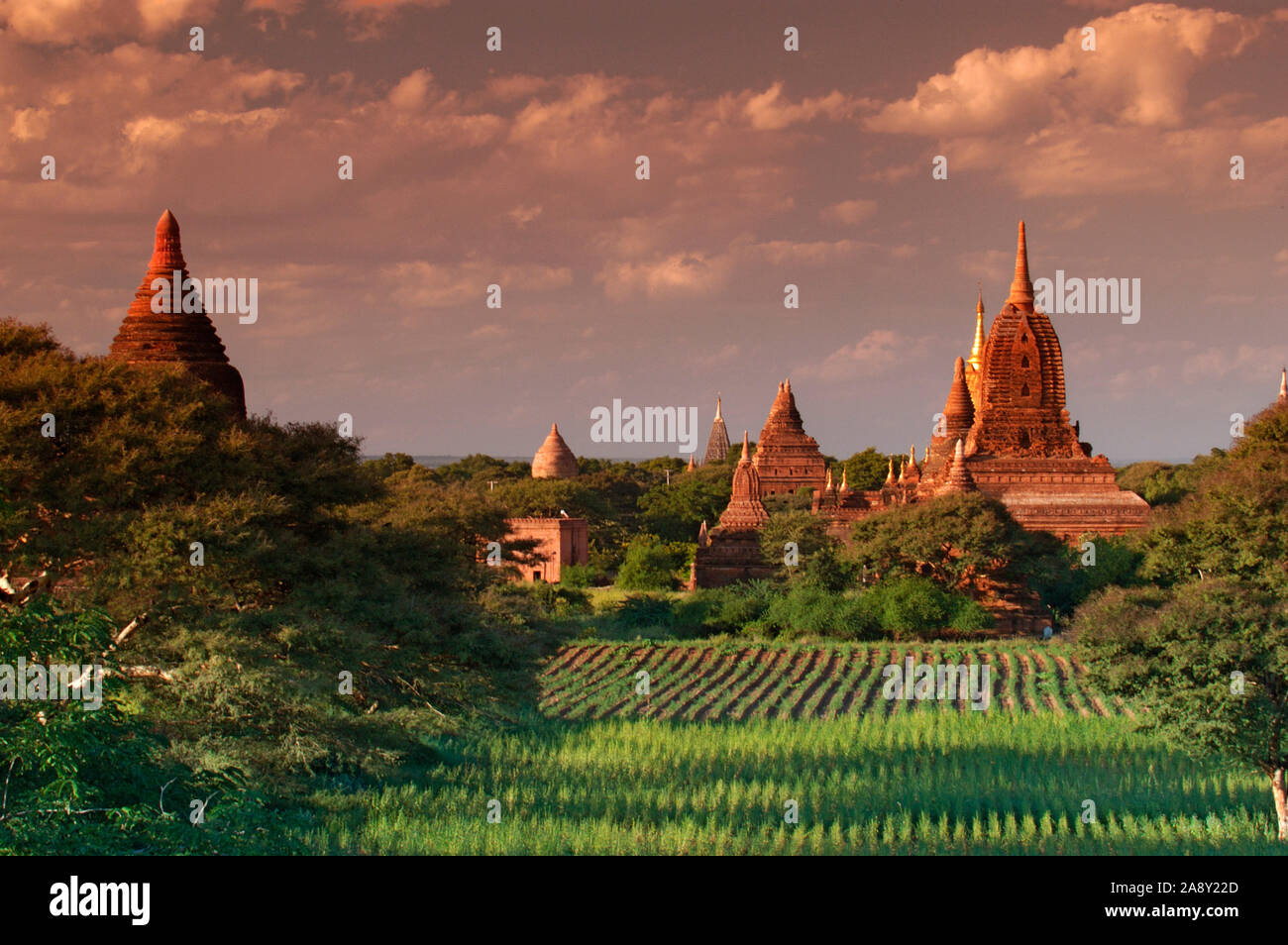 Tal von bagan hi-res stock photography and images - Alamy