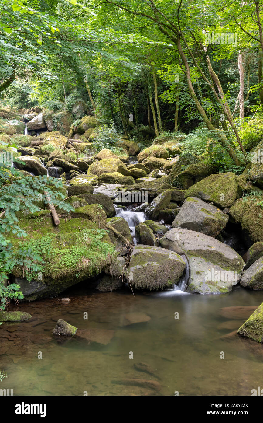 Long exposure of the West Lyn river flowing through the woods at Glen ...