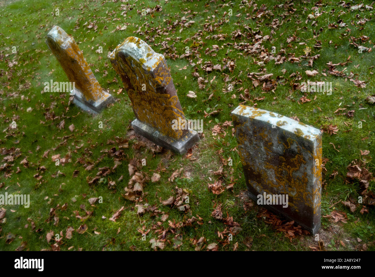 Three Gravestones Covered in Lichen and Mist Stock Photo - Alamy